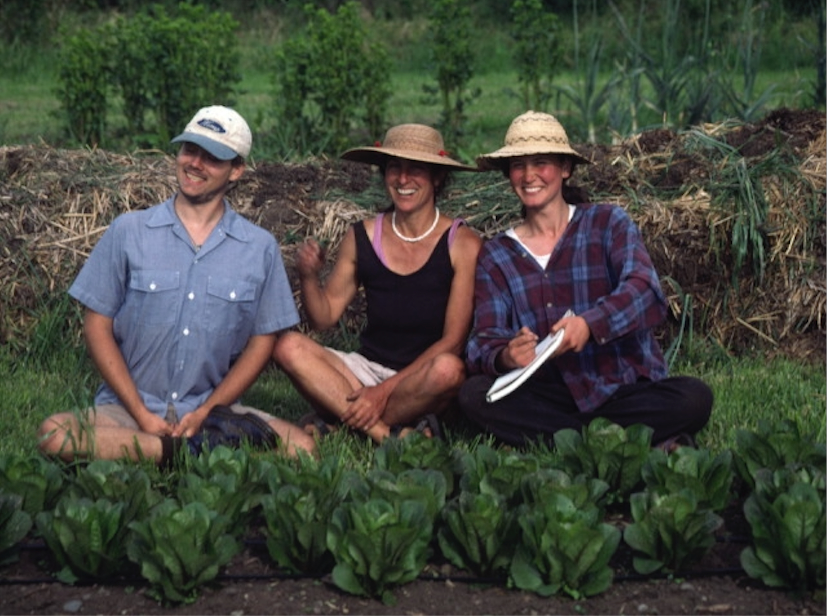 Tinker’s Water-saving Tips – Sustainable Garden Design